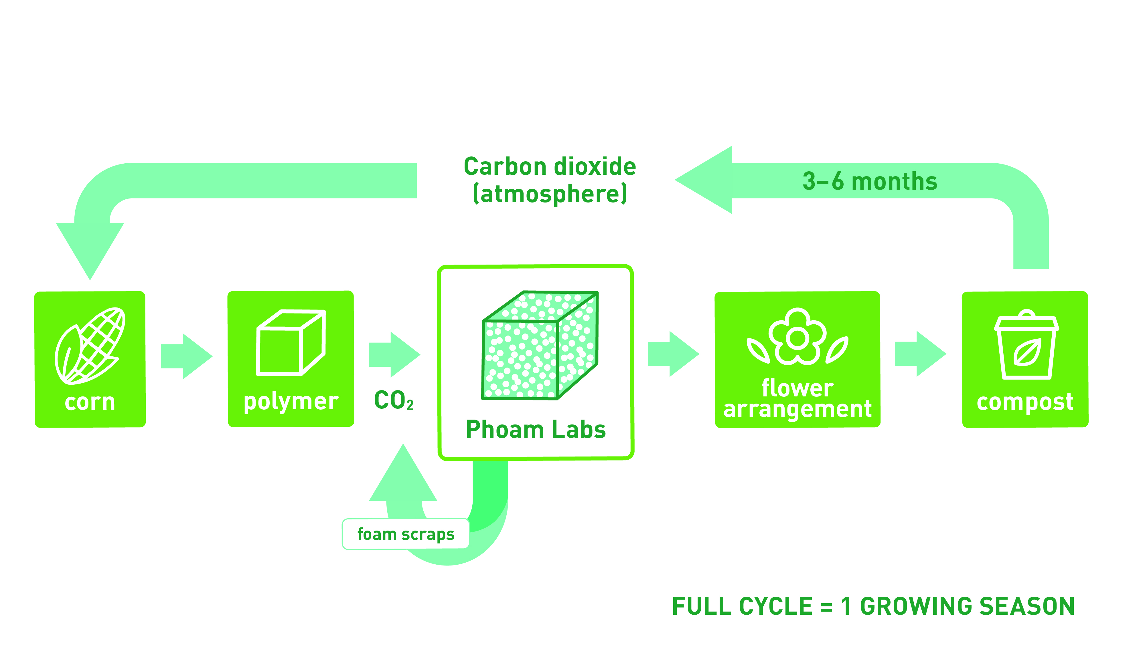 Phoam Labs - Biobased Foam Solutions